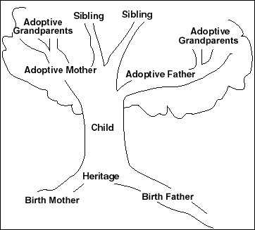 Family Trees & Baby Photos